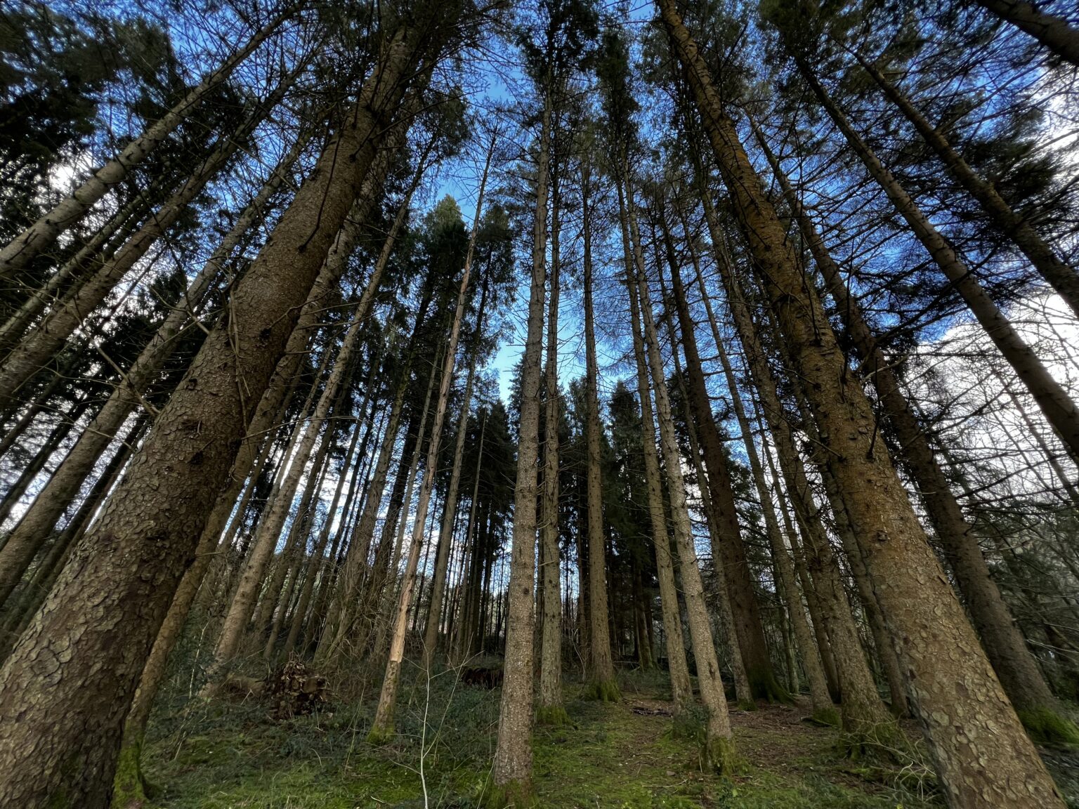 Prospectus Plus helps WVR see unprecedented applications success - Prospectus Plus